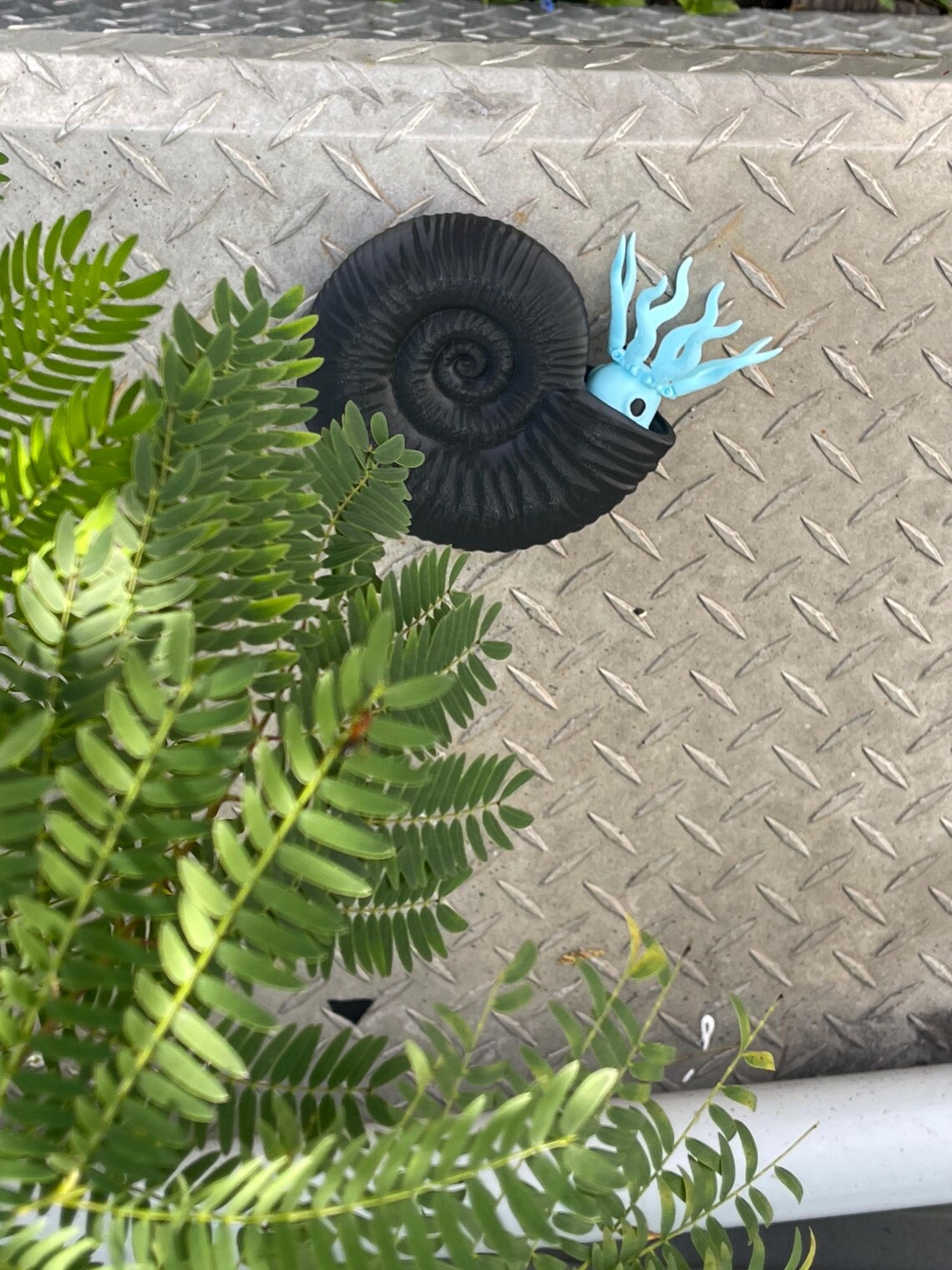 Articulated Ammonite, 3D Printed Ammonite - Etsy