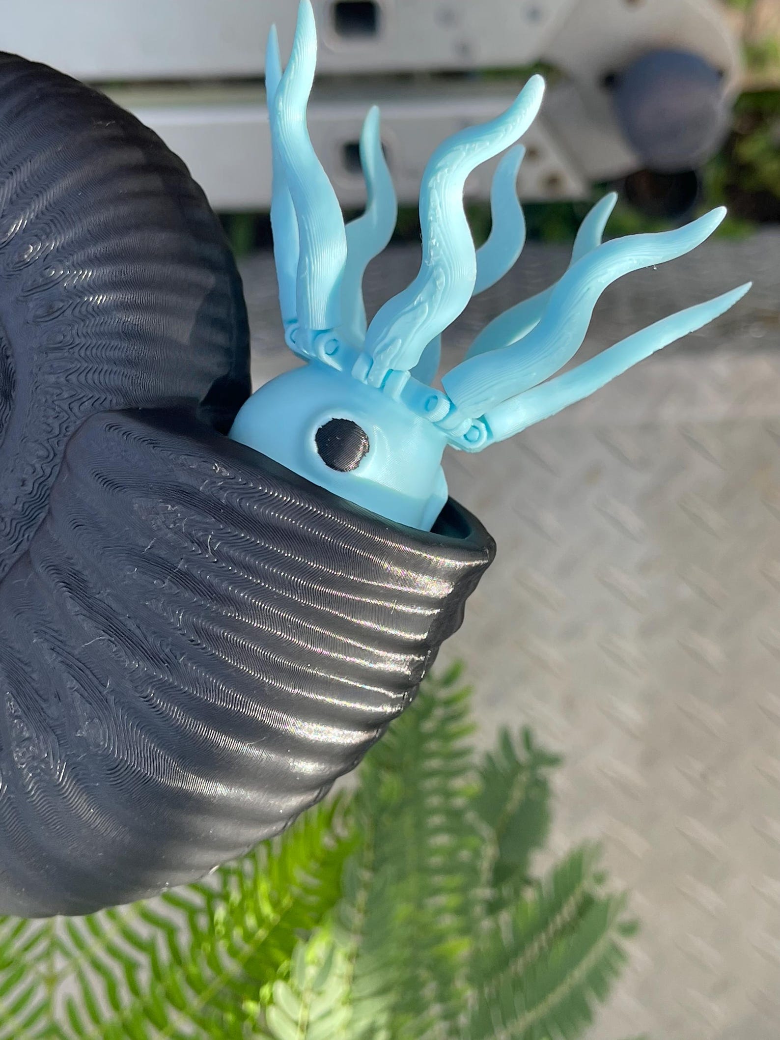 Articulated Ammonite, 3D Printed Ammonite - Etsy