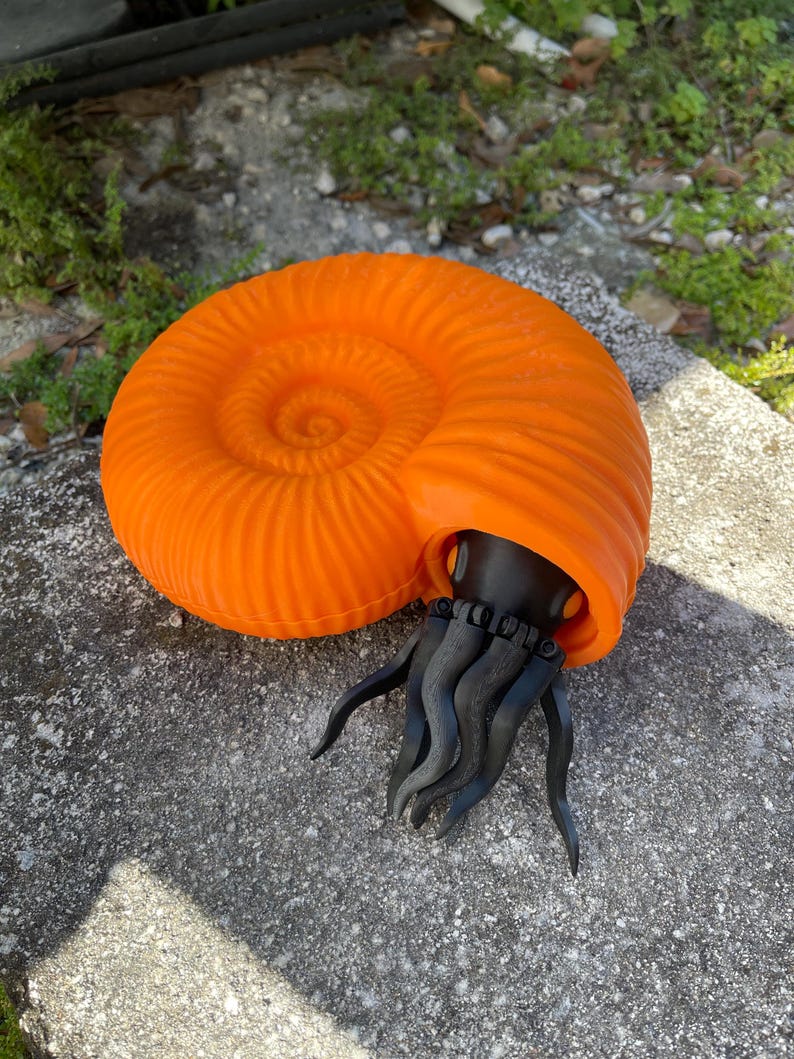 Articulated Ammonite, 3D Printed Ammonite - Etsy