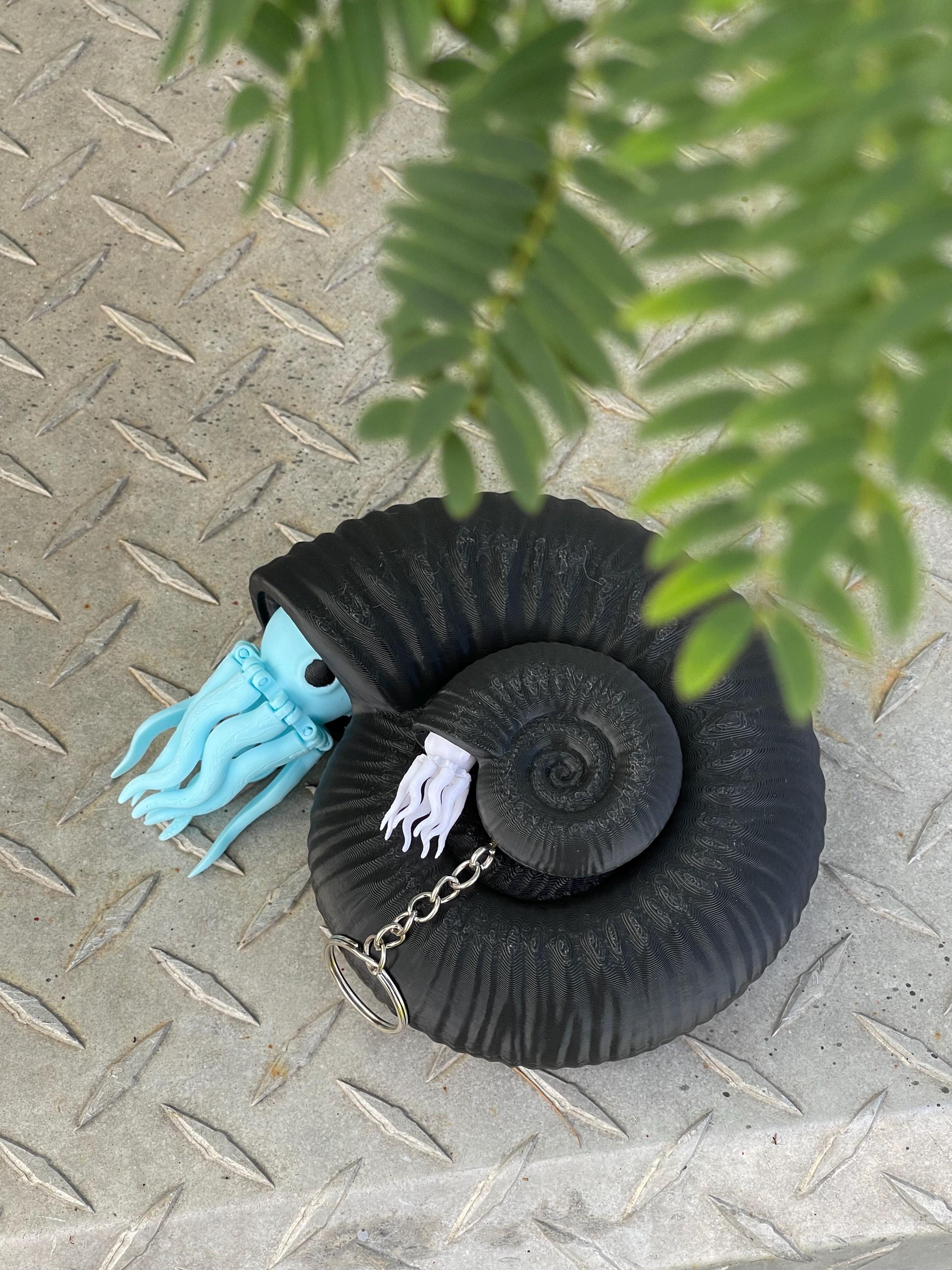 Articulated Ammonite, 3D Printed Ammonite - Etsy