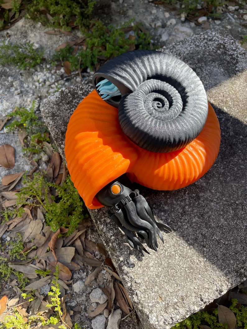 Articulated Ammonite, 3D Printed Ammonite - Etsy