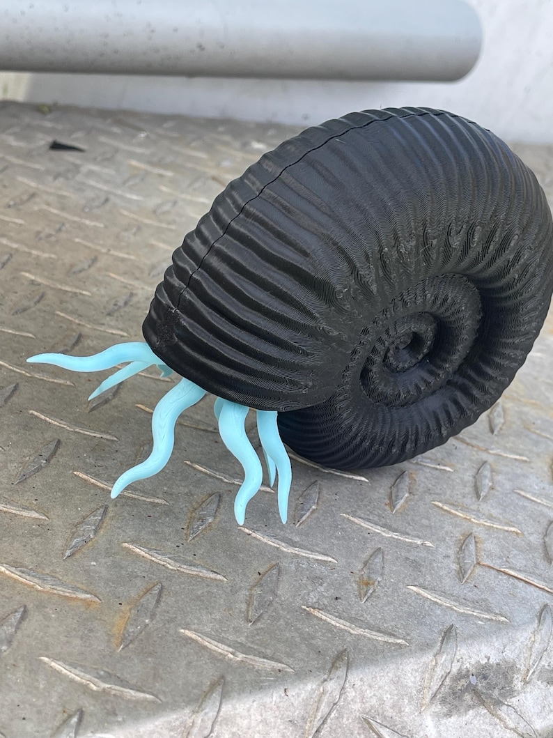 Articulated Ammonite, 3D Printed Ammonite - Etsy