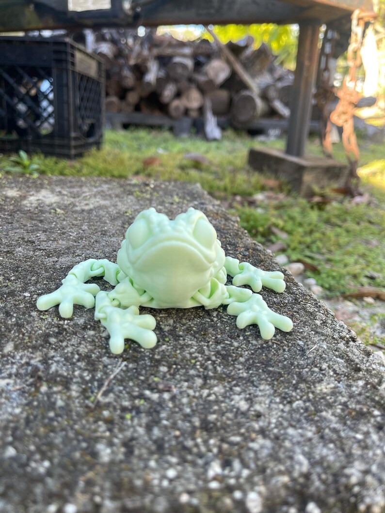 Toad, Articulated Toad, 3D Printed Toad - Etsy