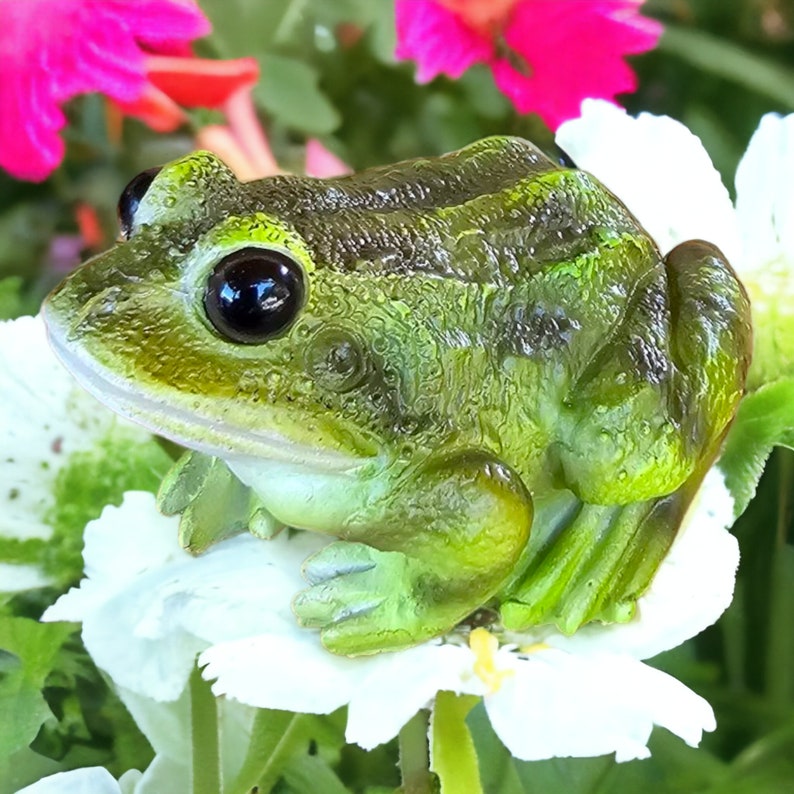 Frog Polyresin Hand Painted Poly Resin Realistic Garden Decor Statue ...