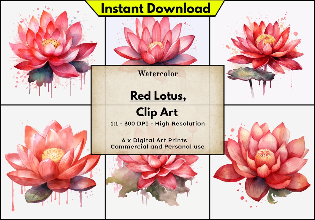 Red Lotus Clip Art 6 X Watercolor Flower Stickers Kids - Etsy
