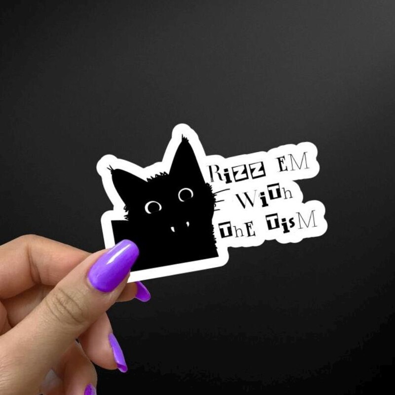 Rizz Em With the Tism - Etsy