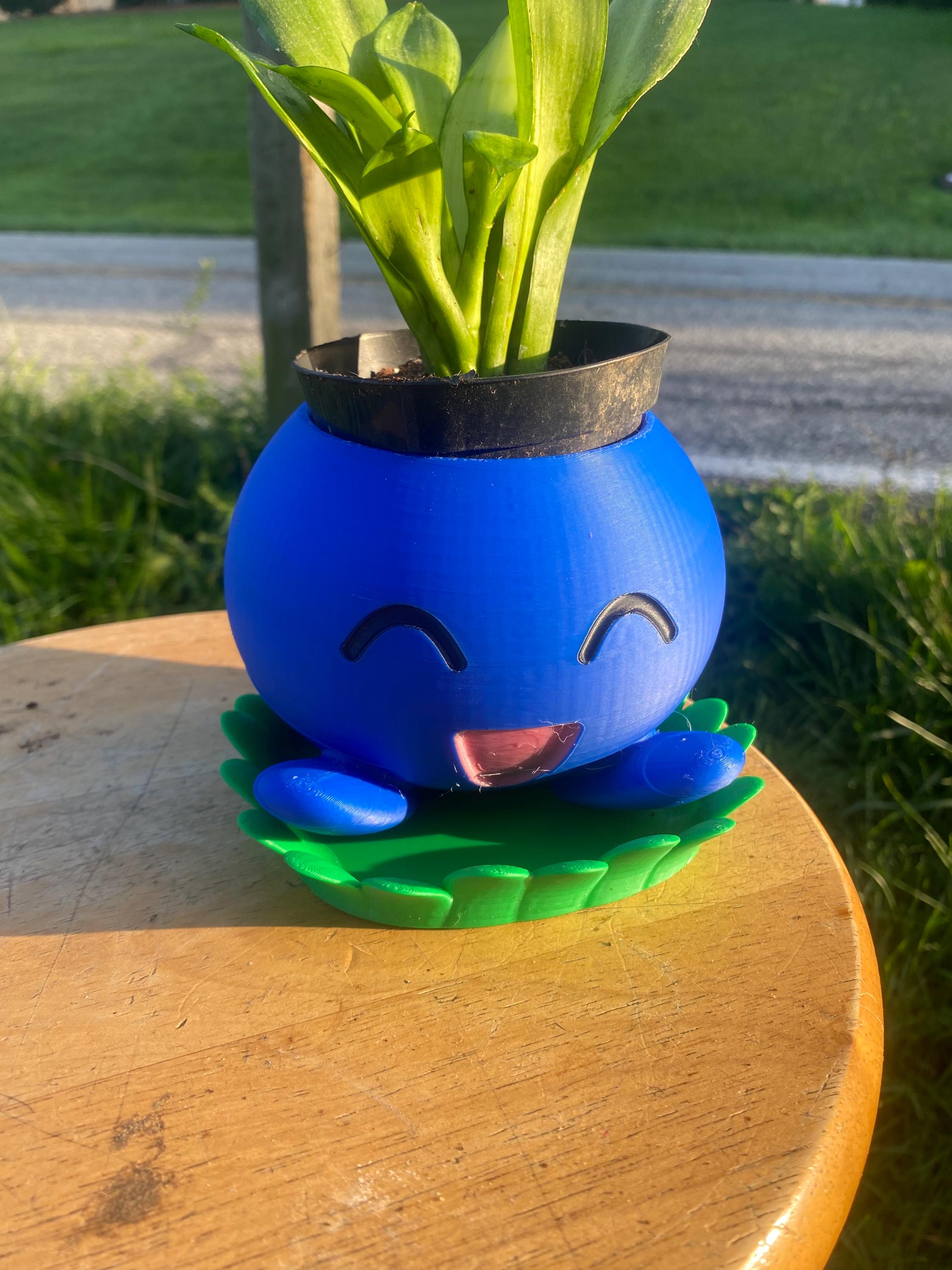 Oddish Planter: Pokémon-inspired 3D Printed Plant Pot With Drainage - Etsy