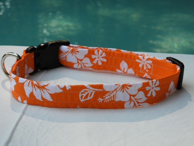 Dog Collar, Hawaiian Dog Collar, Tropical Dog Collar, Beach Dog Collar ...