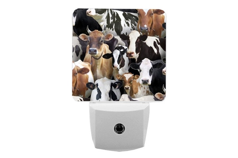 Cows, Farm Decor Light Switch Cover, Night Light, Cabinet Knob - Etsy