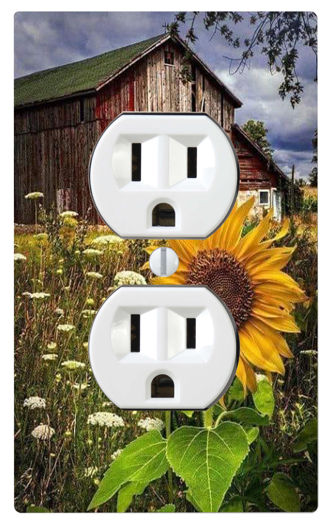 Old Barn With Sunflowers Light Switch Cover Night Light - Etsy