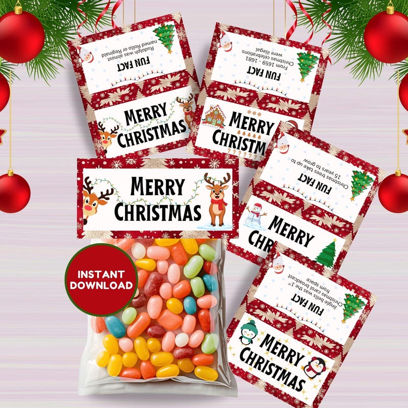 Christmas Goodie Bag or Box - Etsy
