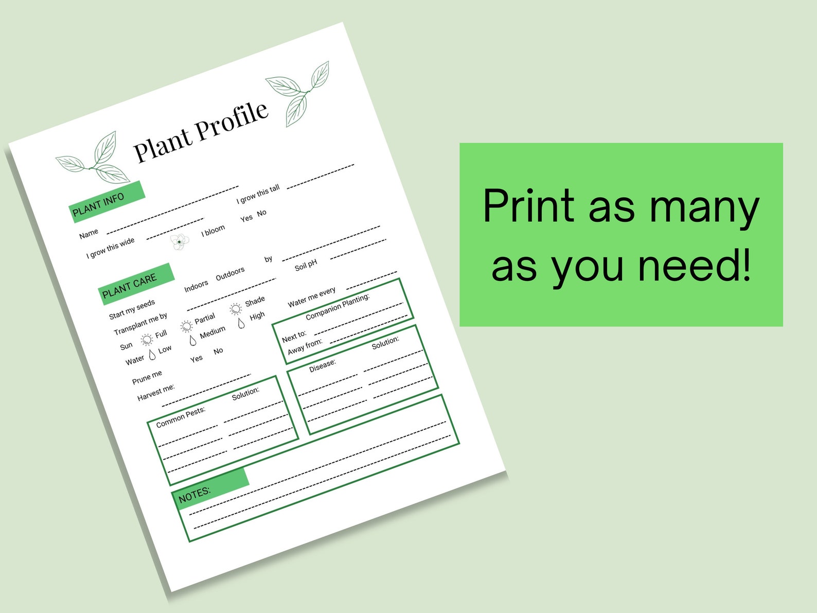 Plant Profile Sheet Printable, Plant Instruction Tracker, Plant Care ...