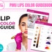 Editable PMU Lips Color Guide, Understand Lip Tattoo Coloring, Learn ...