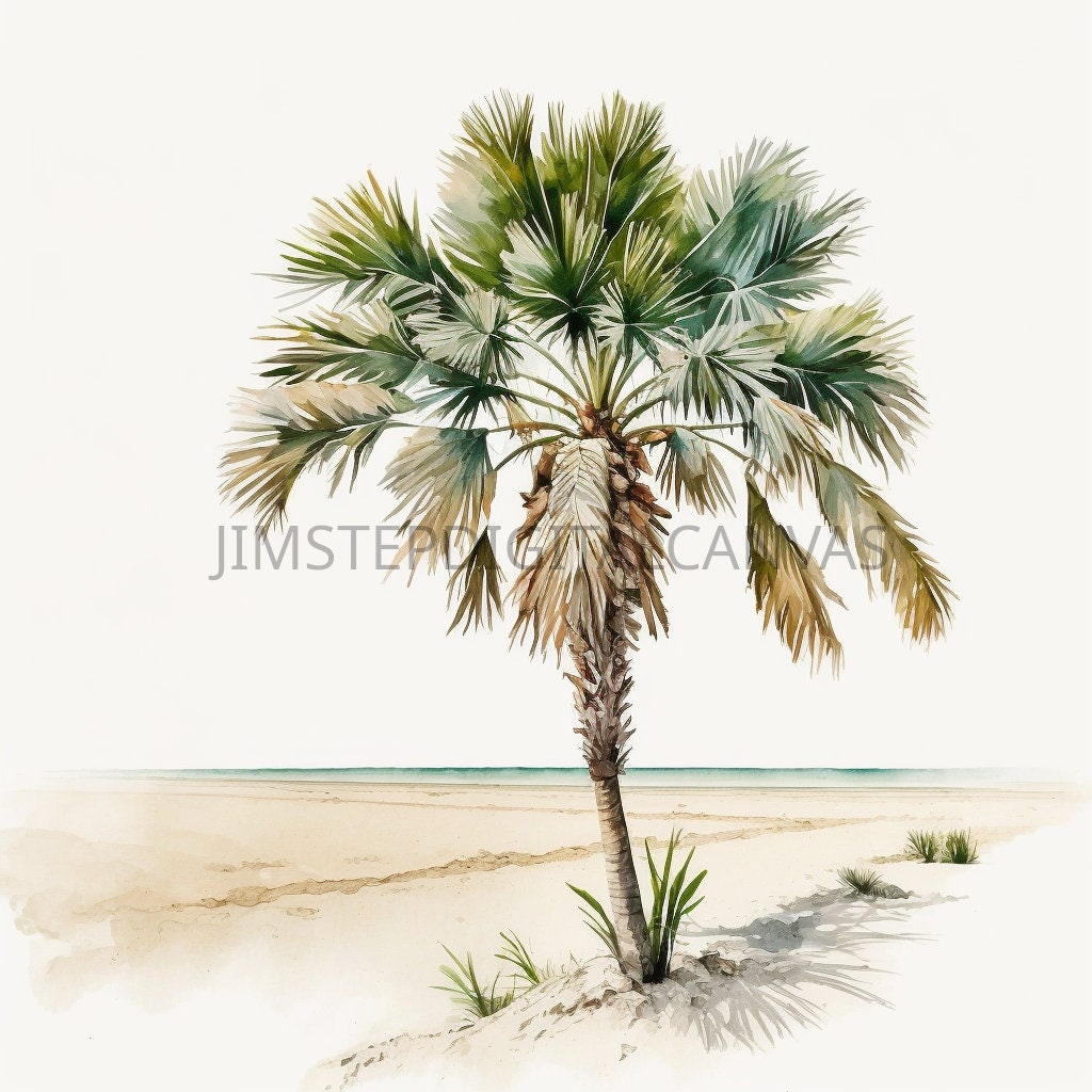 Tropical Palm Trees Watercolor Clipart in PNG Format, Digital Images ...