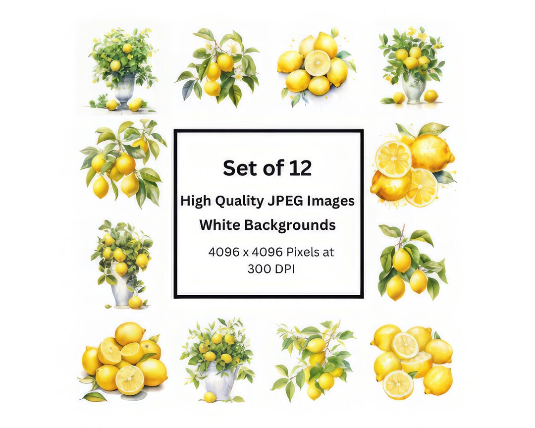 Lemon Variations - Set 12 of High Quality JPEG Images Clipart White ...