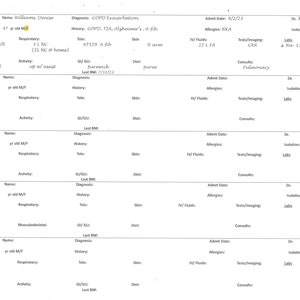 5 Patient Ms/tele Report Sheet - Etsy