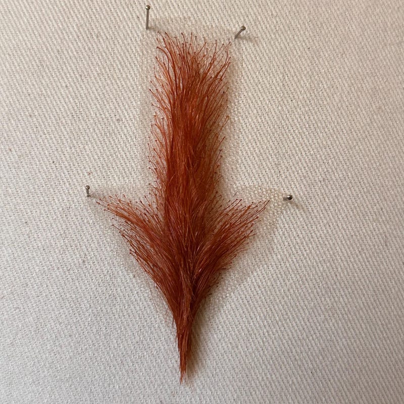 Merkin Pubic Wig - Etsy