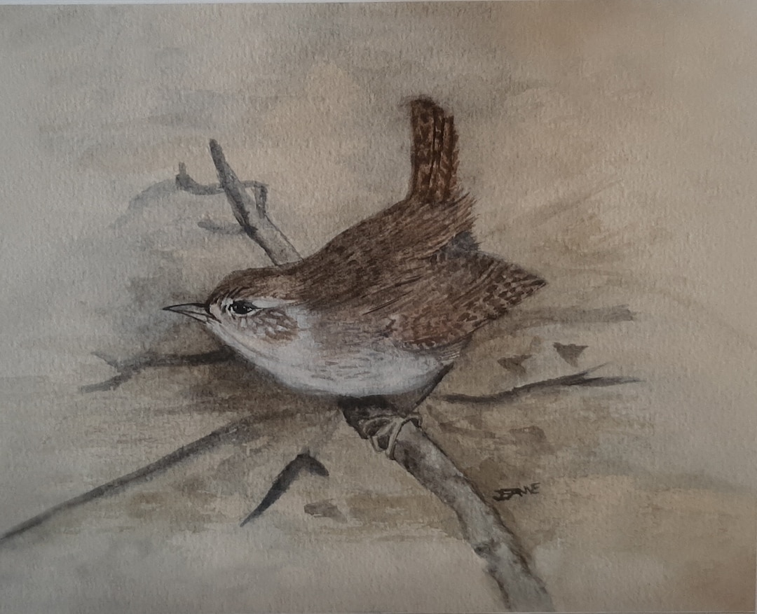 Unframed 8x10" Prints of Original Watercolor Painting of a Bird - Etsy