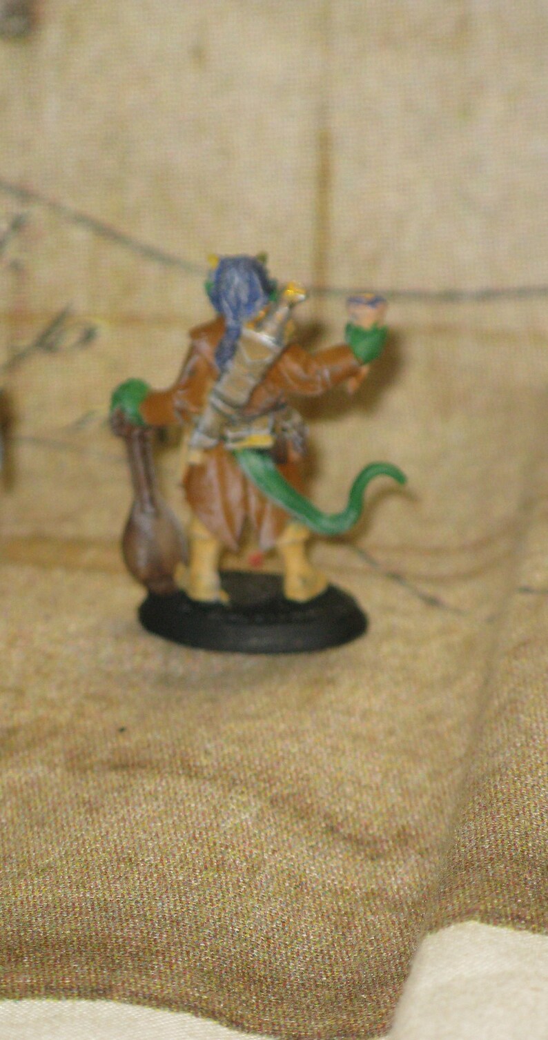Tiefling Bard male Lute, Drinking Horn Hand Painted D&d/pathfinder ...