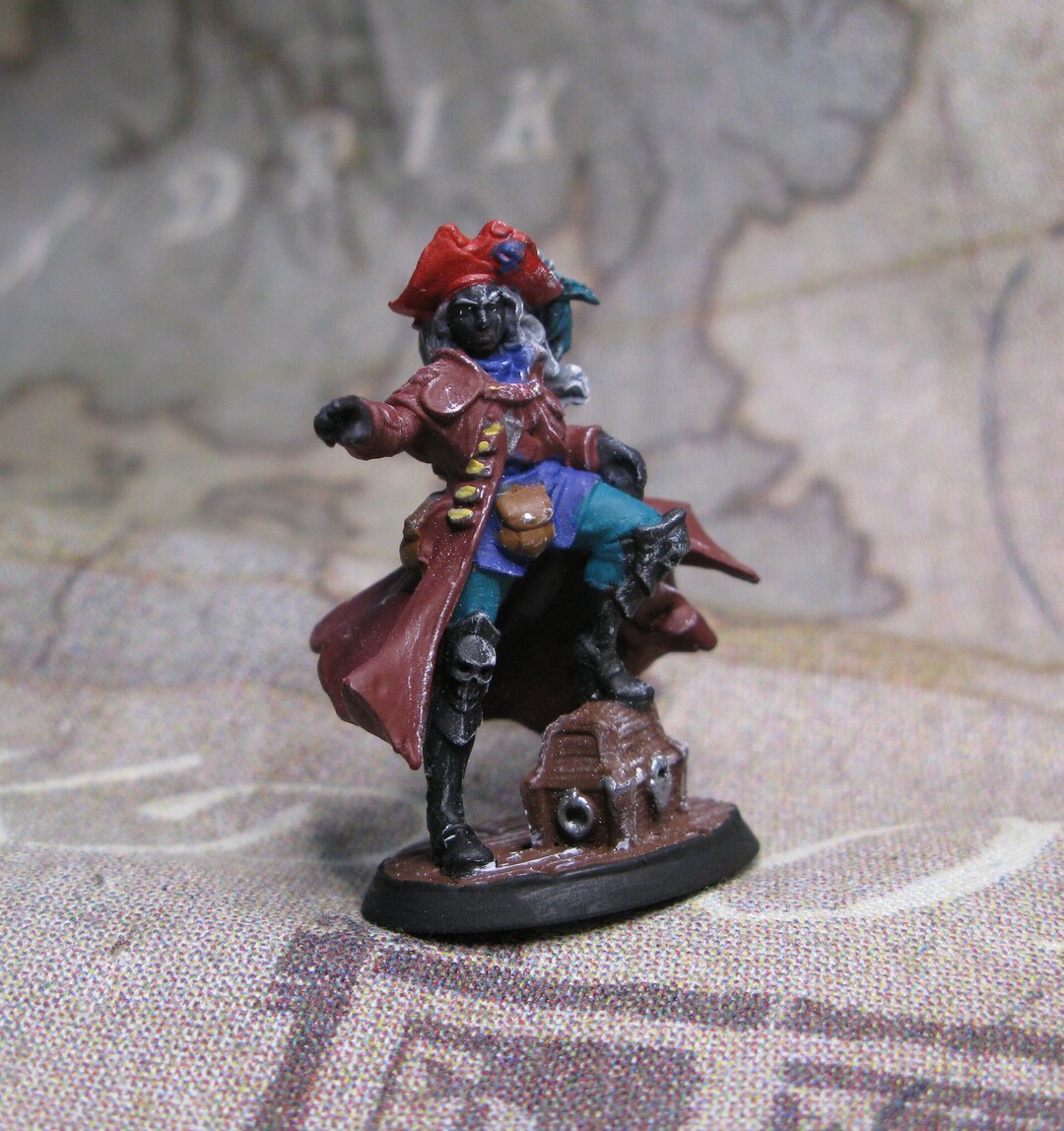 Female Pirate Captain Hand Painted D&d/pathfinder/ttrpg Miniature ...