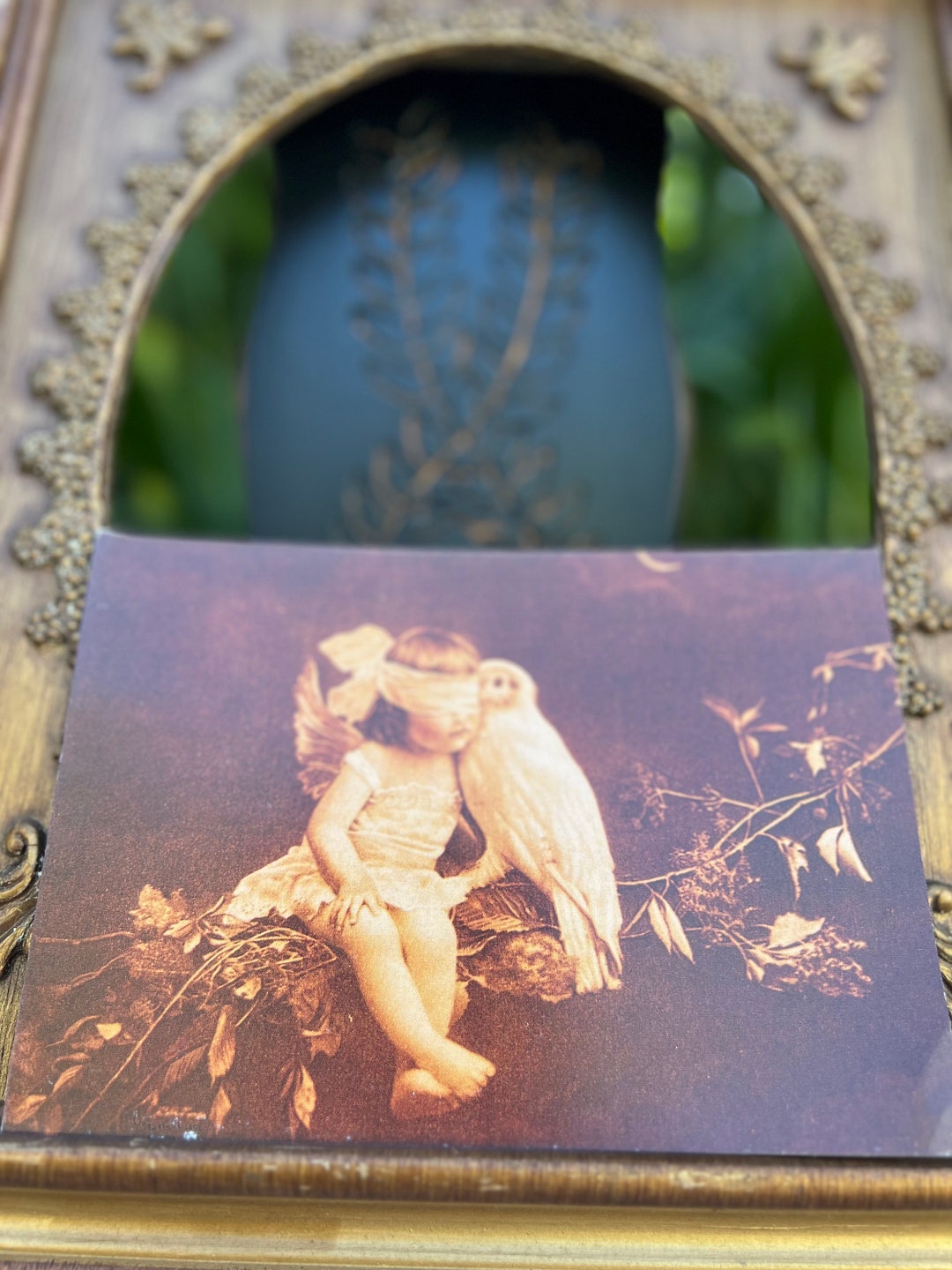 Vintage - Owl - Angel Child Cherubim Cherub Autumn Fall - Art Print ...