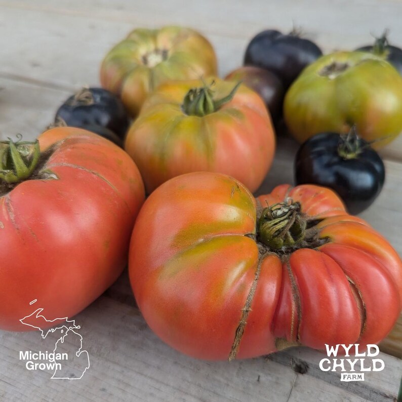 Rare Tomato Ananas Noir Seeds, Heirloom Seeds, Black Pineapple Tomato ...