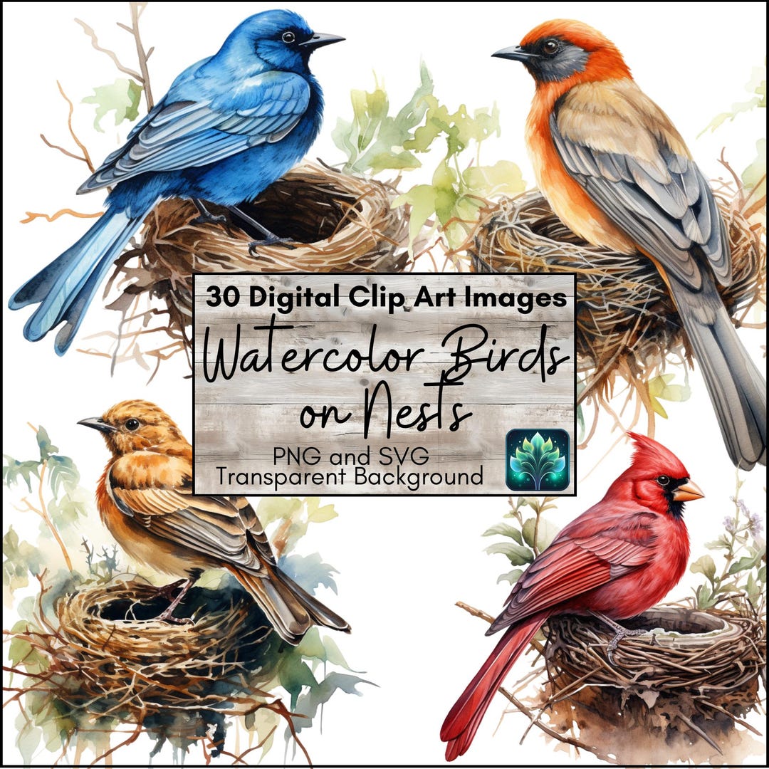 Watercolor Birds Digital Clip Art, Spring Nest Clipart Painted Art ...