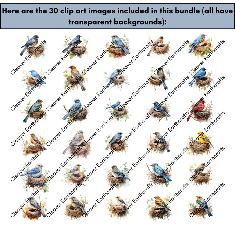 Watercolor Birds on Nest Clip Art Bundle, Painted Style Clipart for ...