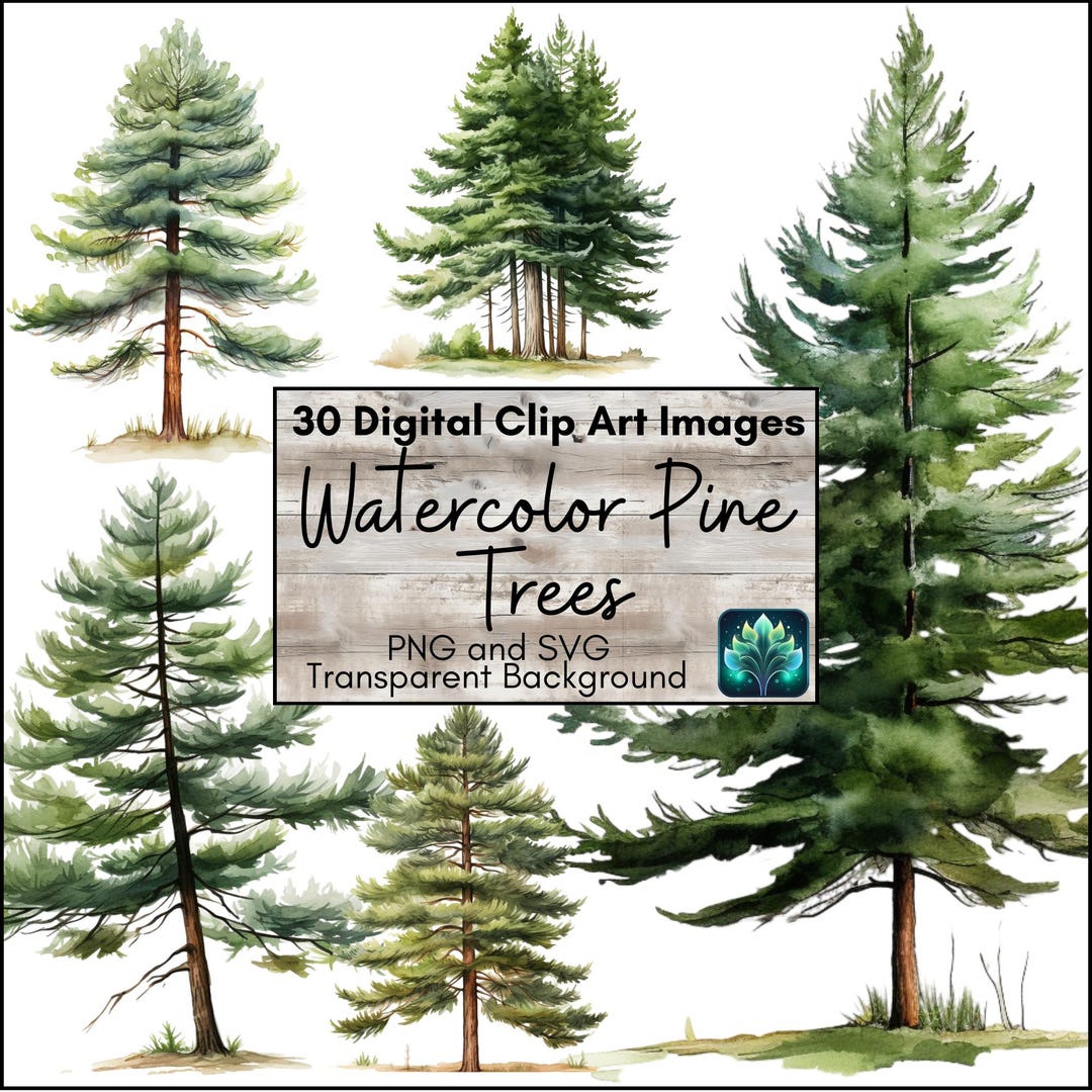 Watercolor Pine Tree Clip Art Bundle - Green Forest Digital PNG/SVG for ...