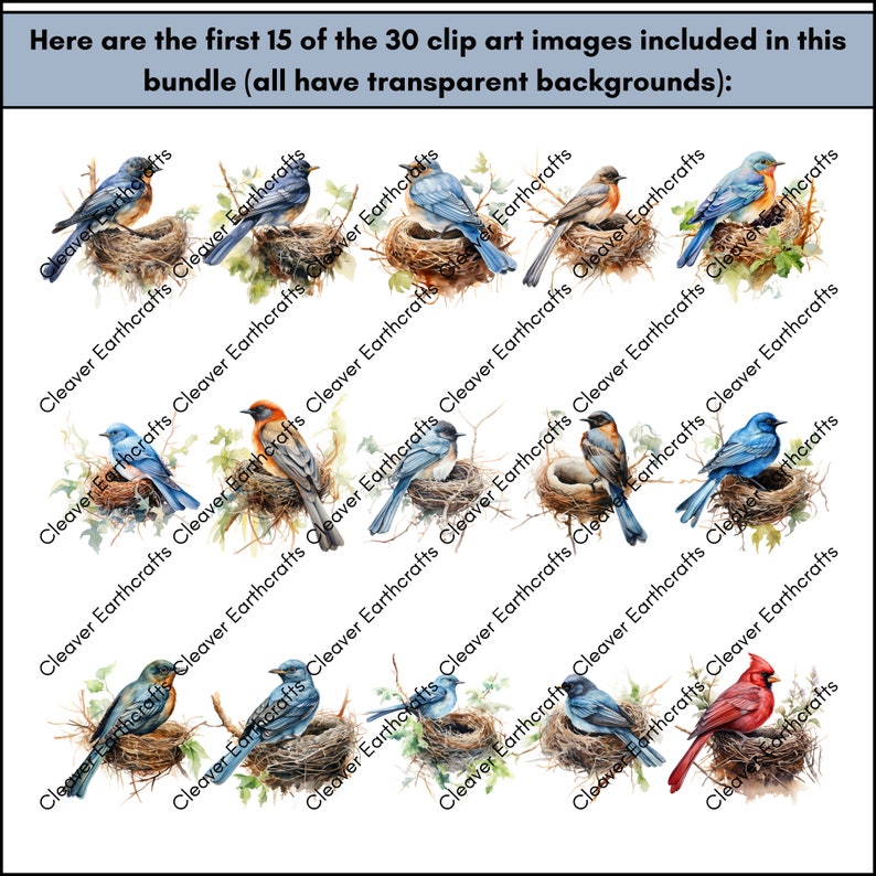 Watercolor Birds Digital Clip Art, Spring Nest Clipart Painted Art ...