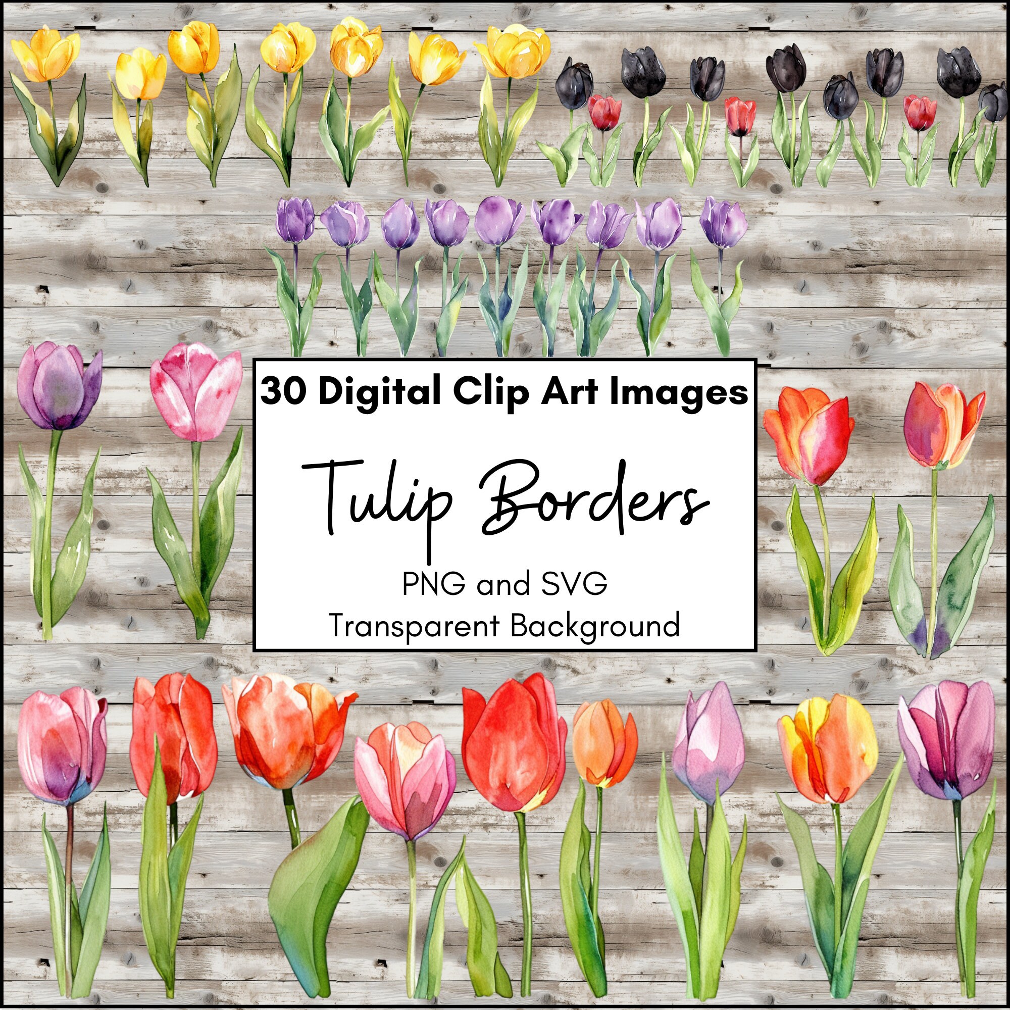 Tulip Floral Border Clipart Bundle, Spring Flowers Decorative Page Trim ...