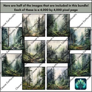Misty Forest Watercolor, Landscape Image, 12x12 Digital Paper ...