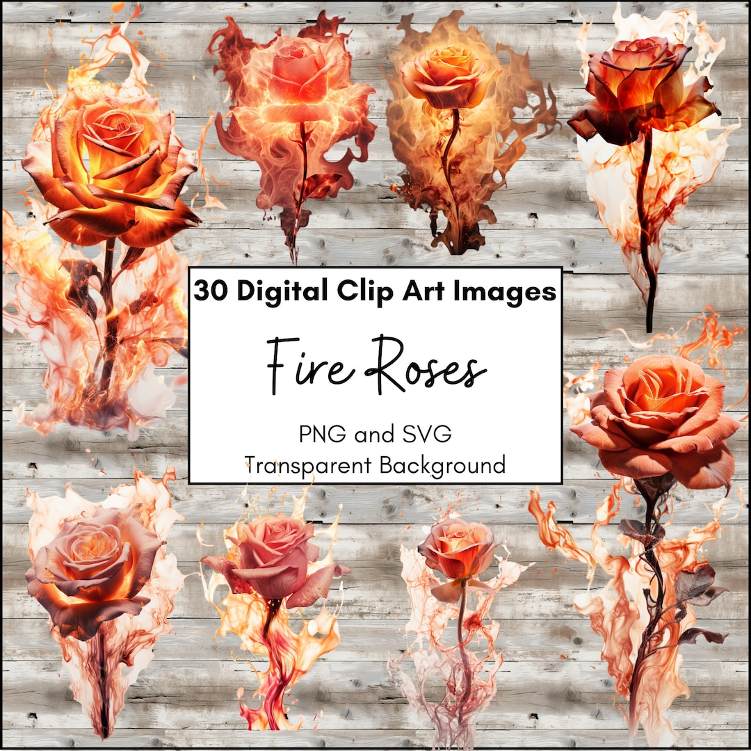 Fire Roses Digital Clip Art Pack, PNG and SVG Clipart for Scrapbook ...