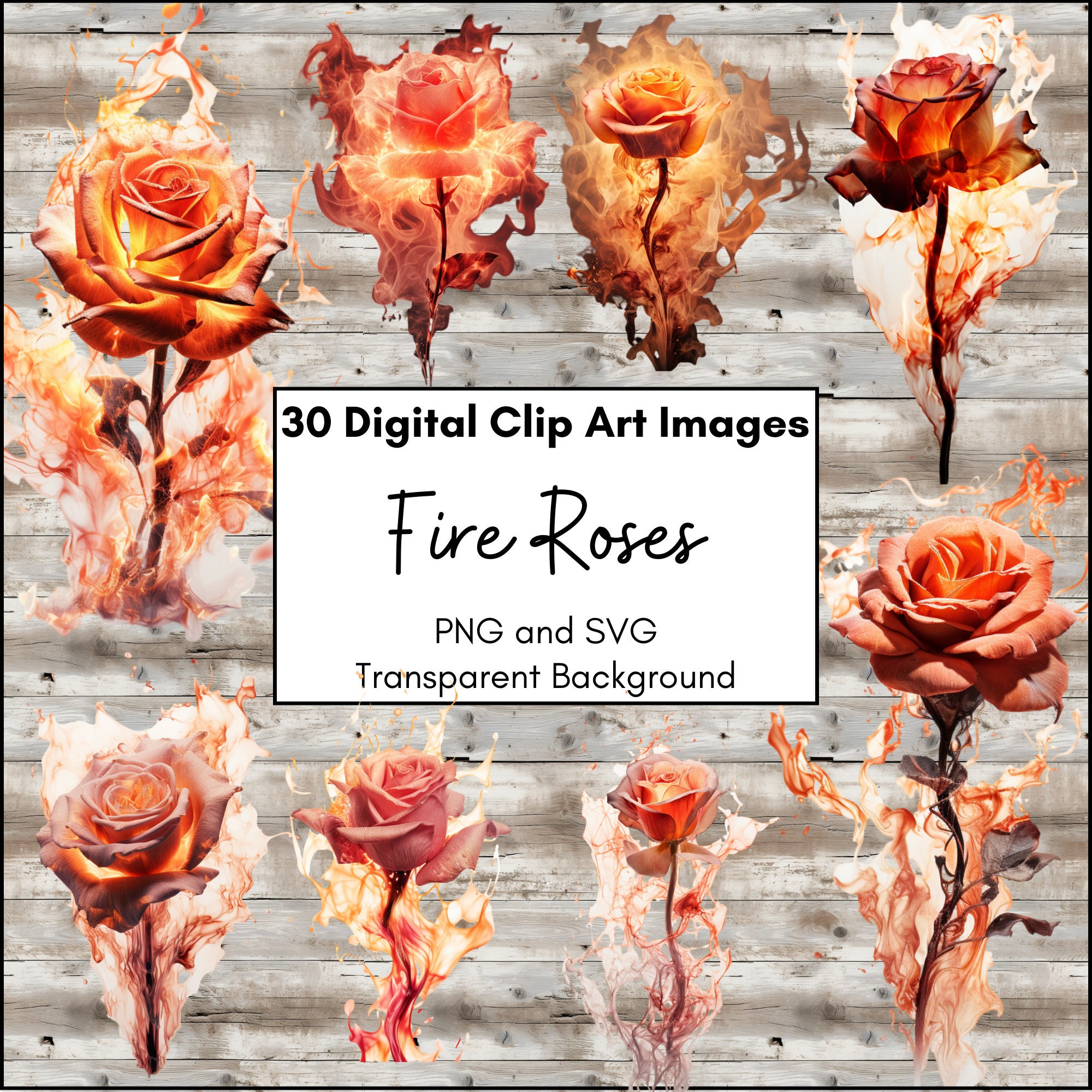 Fire Roses Digital Clip Art Pack, PNG and SVG Clipart for Scrapbook ...