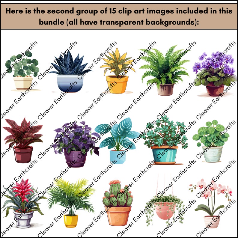 Houseplant Clipart Bundle, Potted Indoor Plant Digital Clip Art, PNG ...