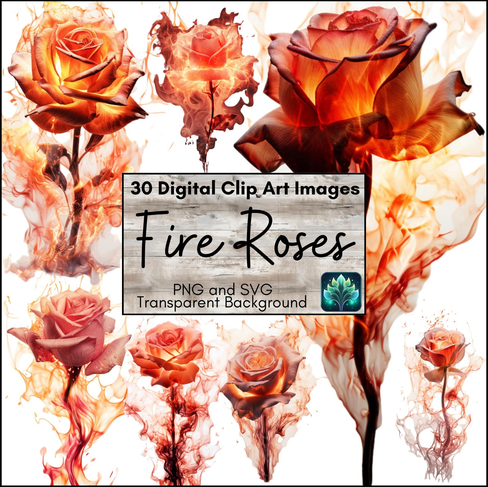 Fire Roses Digital Clip Art Pack, PNG and SVG Clipart for Scrapbook ...