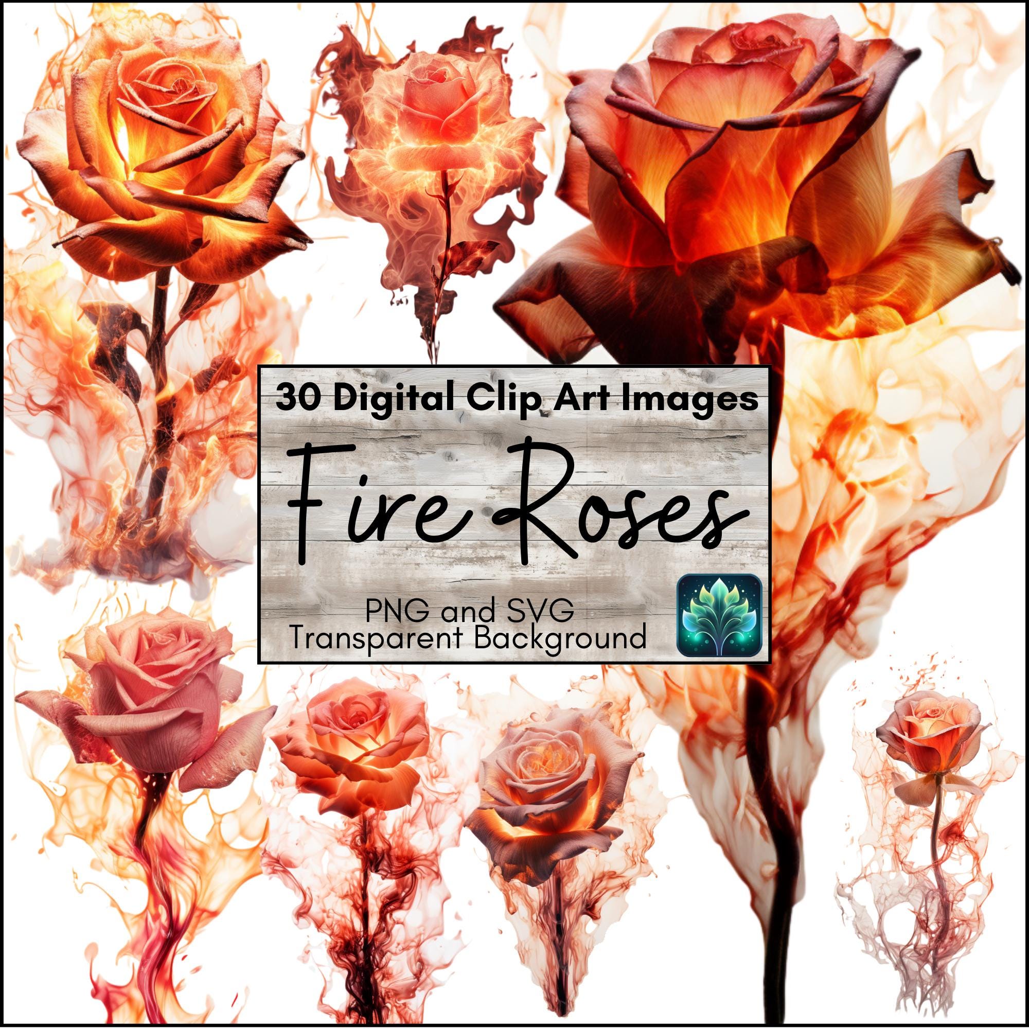 Fire Roses Digital Clip Art Pack, PNG and SVG Clipart for Scrapbook ...