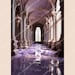 Purple Digital Backdrops Maternity Backdrop Overlays Photography ...