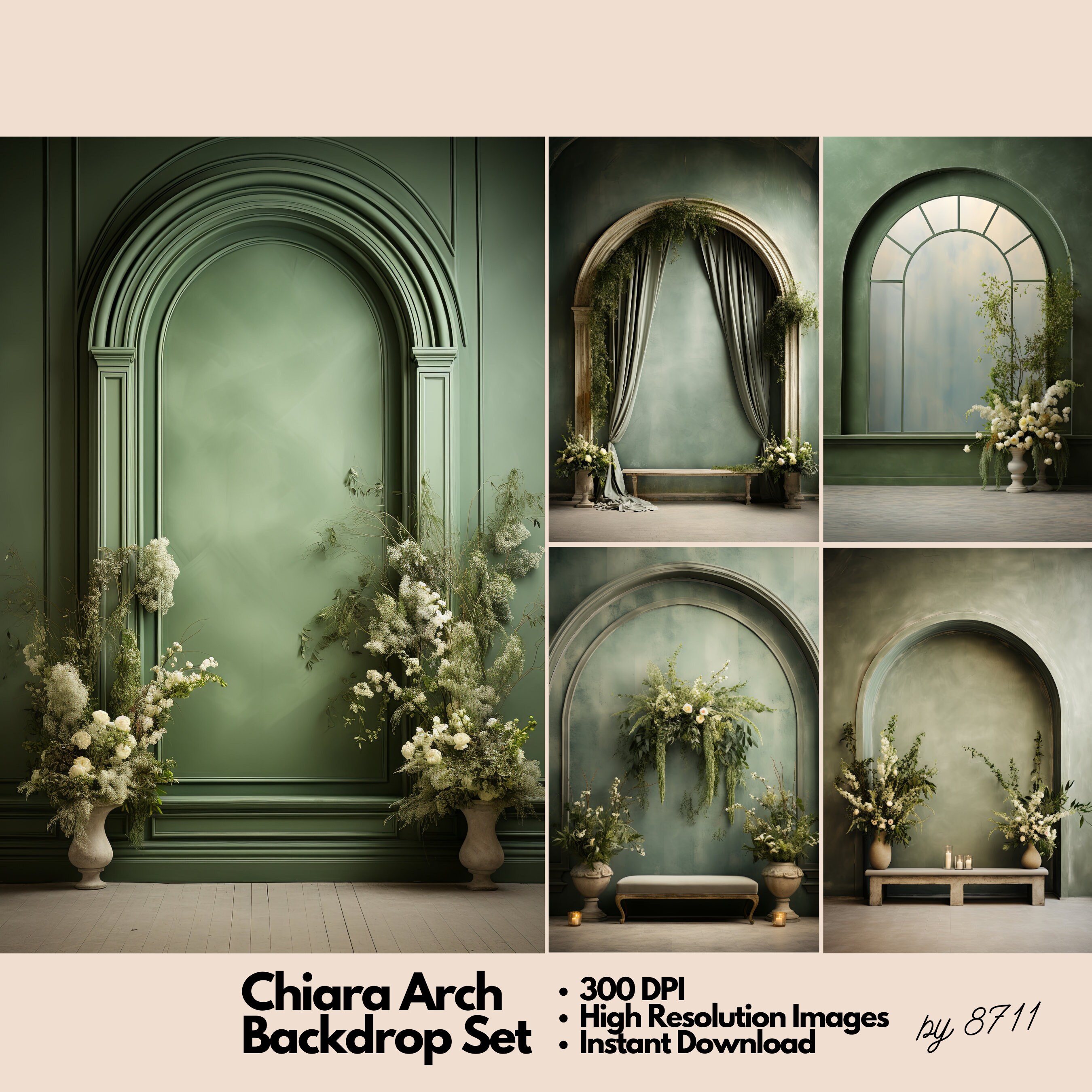 Chiara Arch Digital Backdrops Maternity Backdrop Overlays Photography ...