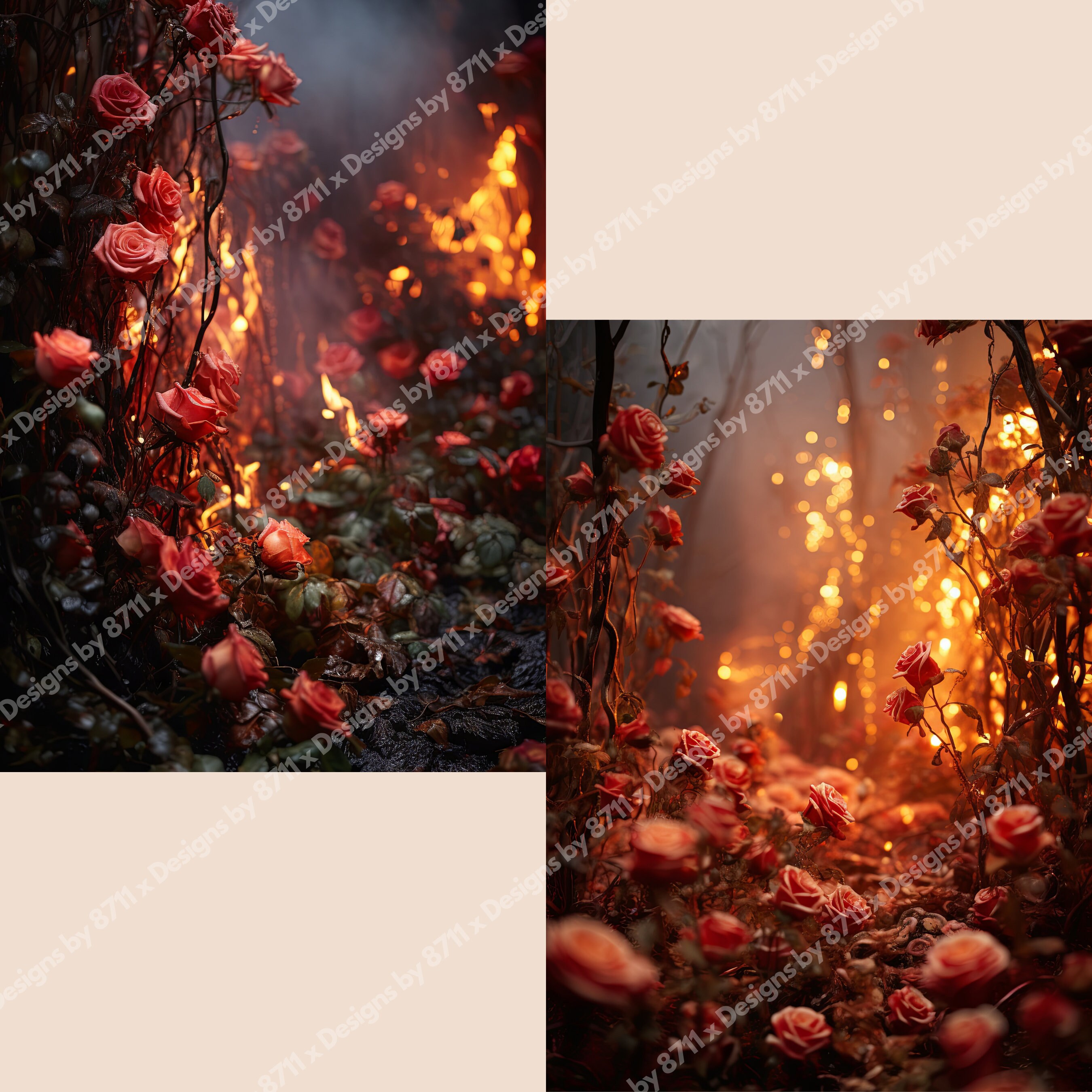 Fire Rose Digital Backdrop Vertical Portrait Background, Portrait ...