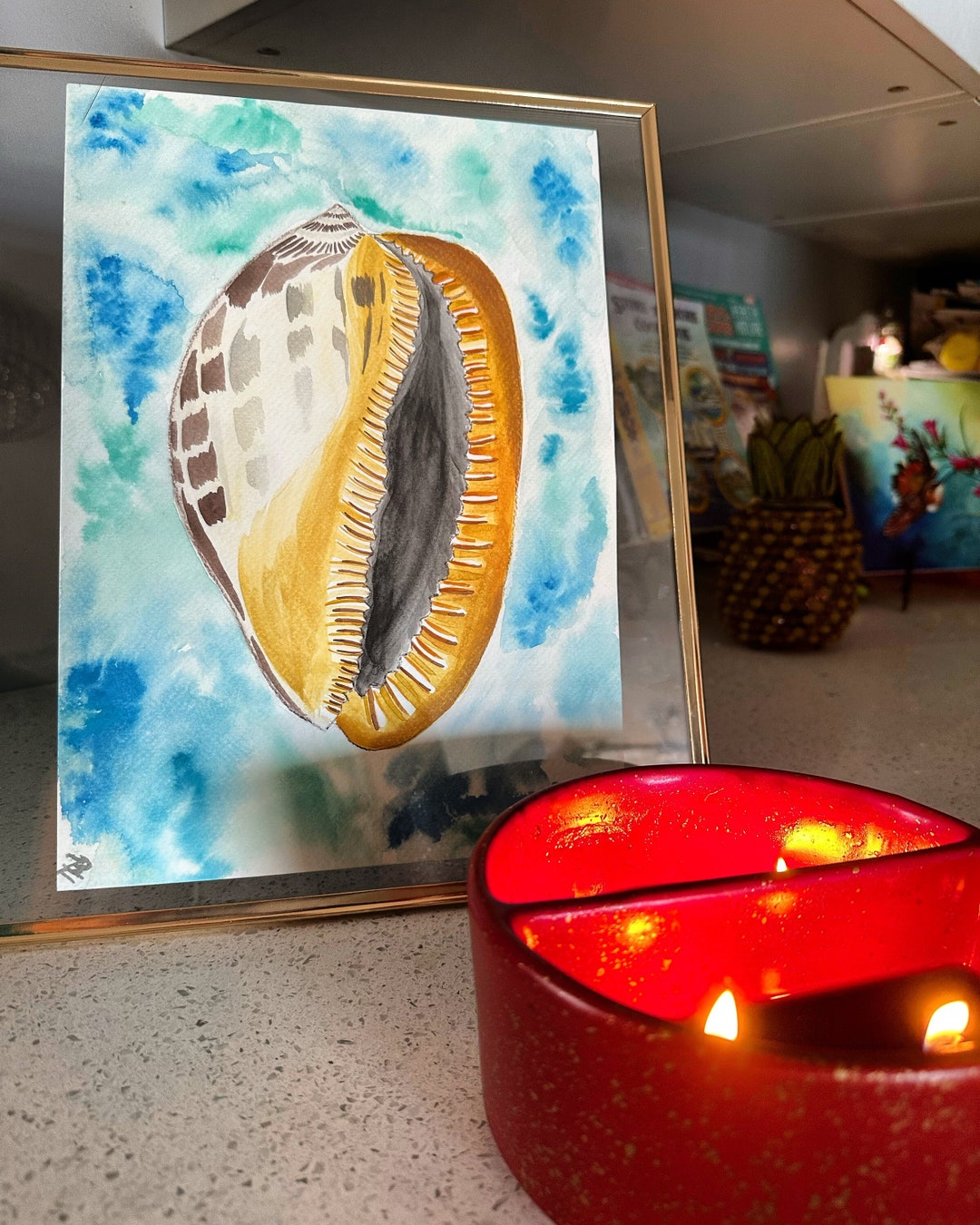 Reticulated Helmet Cowry-original Watercolor Painting on Paper - Etsy