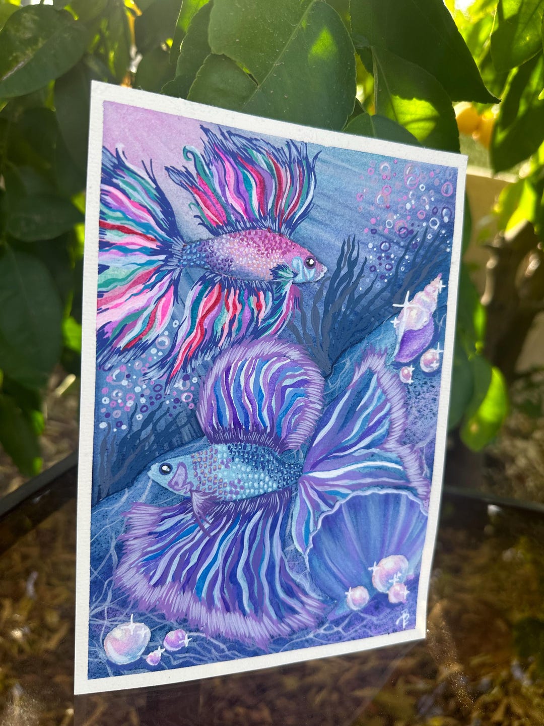 Betta Fish Watercolor - Etsy