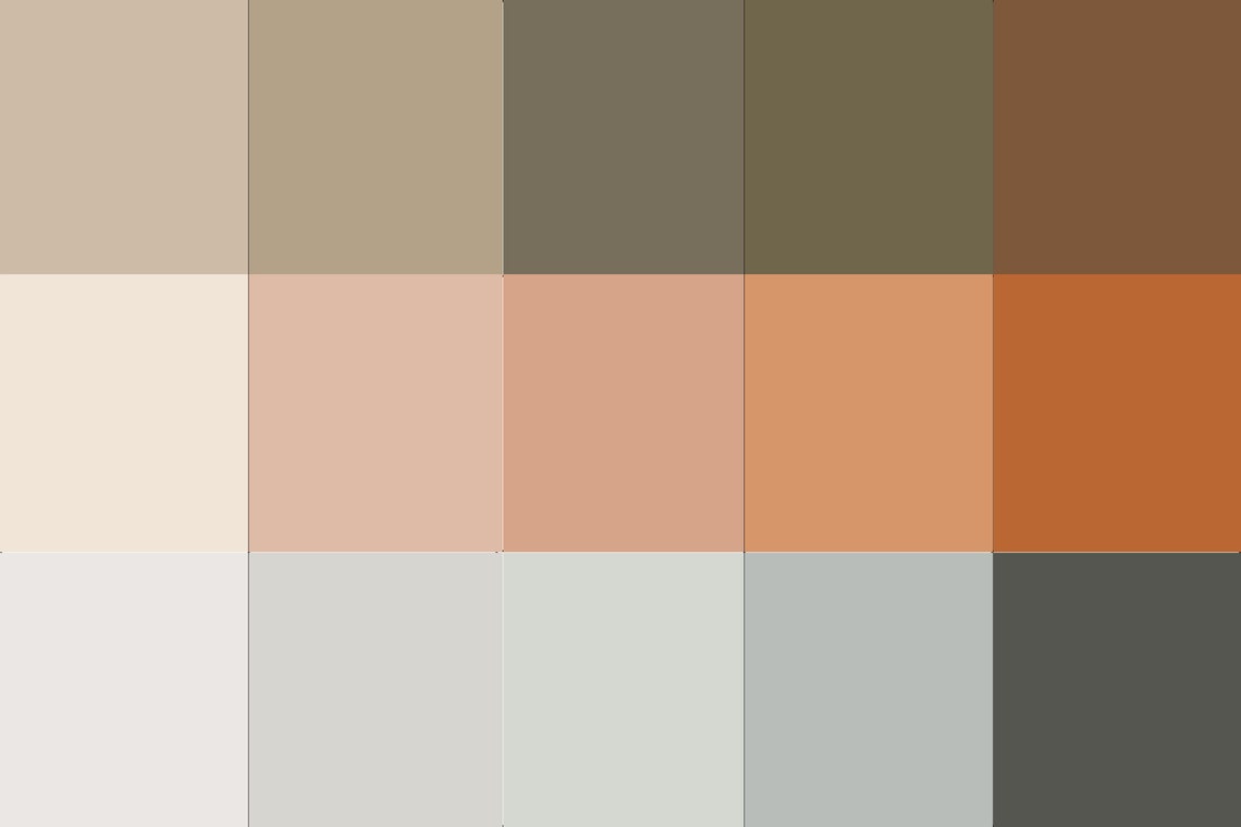 Savannah Sunset Color Palette | Instant Download - Etsy