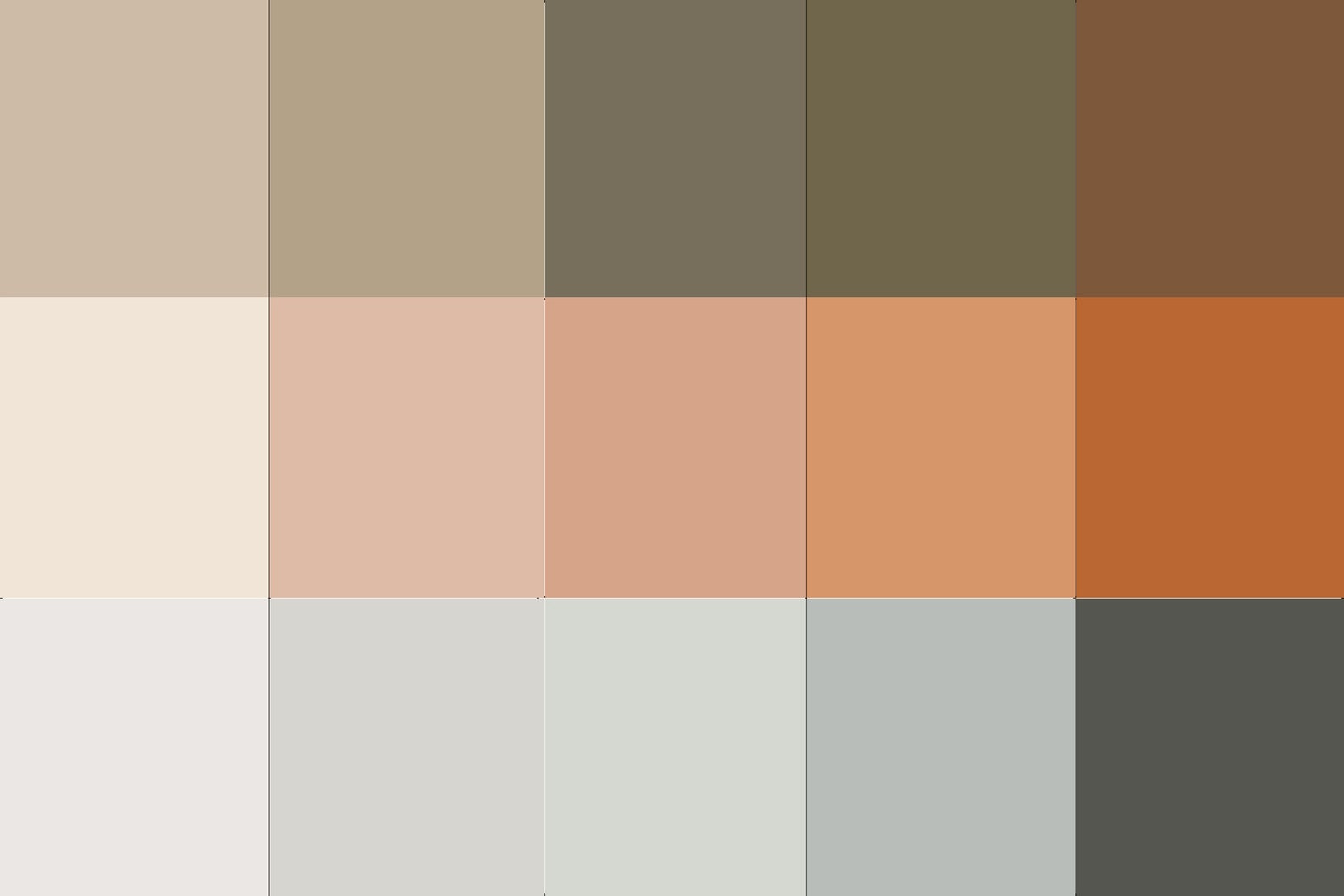 Savannah Sunset Color Palette | Instant Download - Etsy