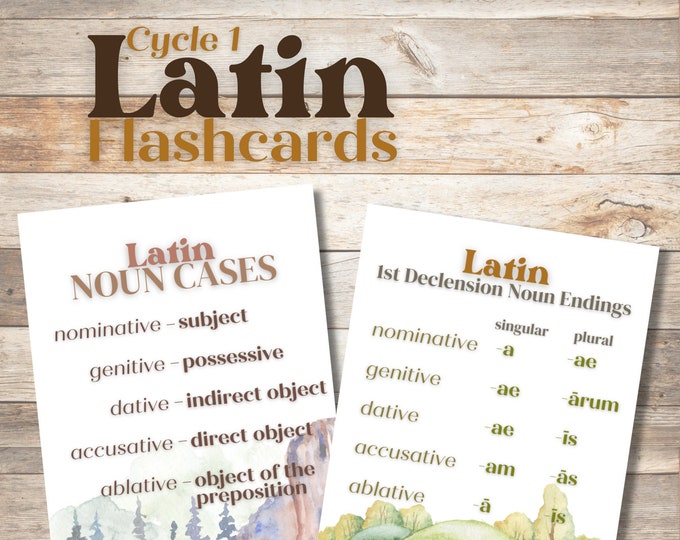 Latin Declension Classroom Poster Handout for Latin Teaching Digital ...
