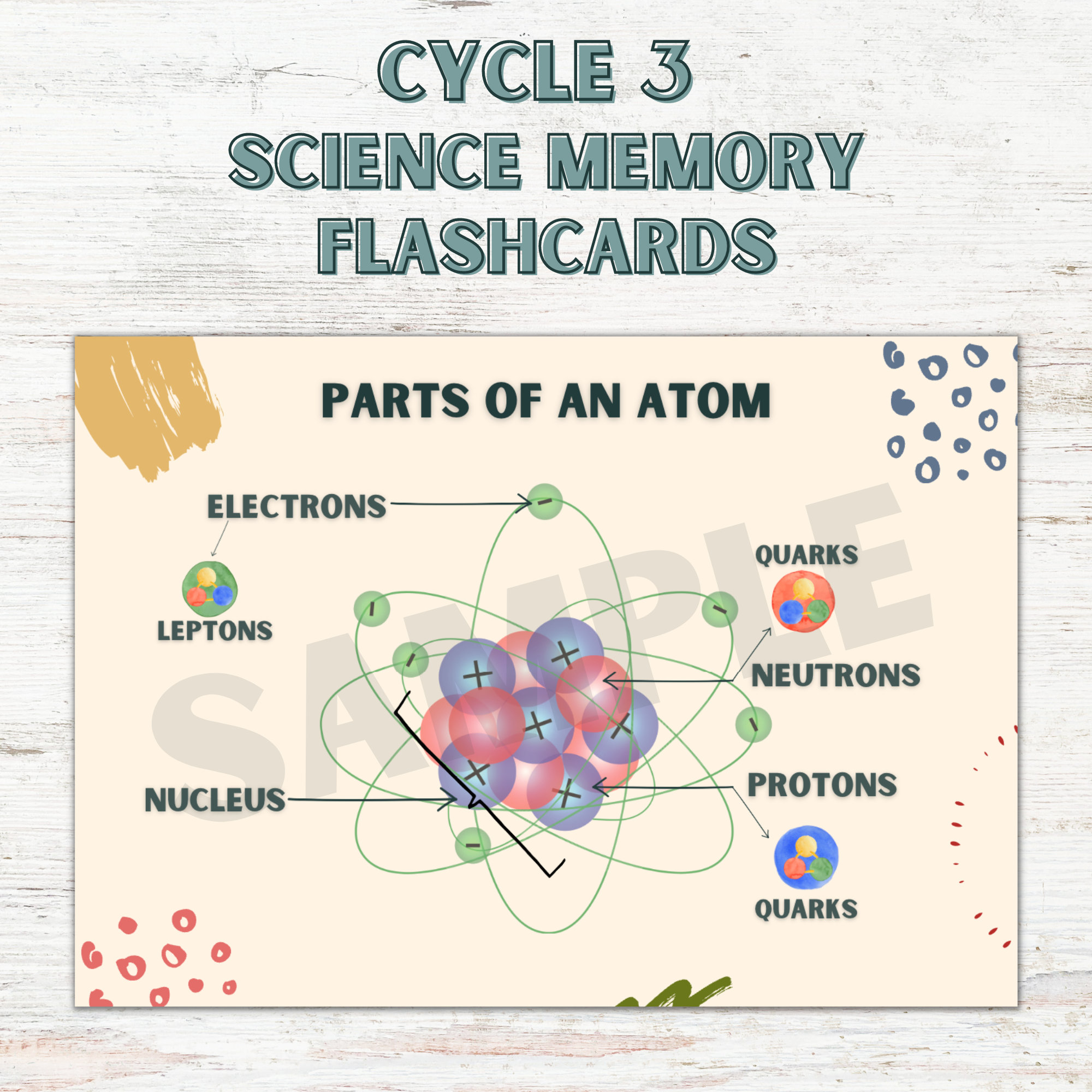 Cycle 3 Science Memory Cards - Etsy