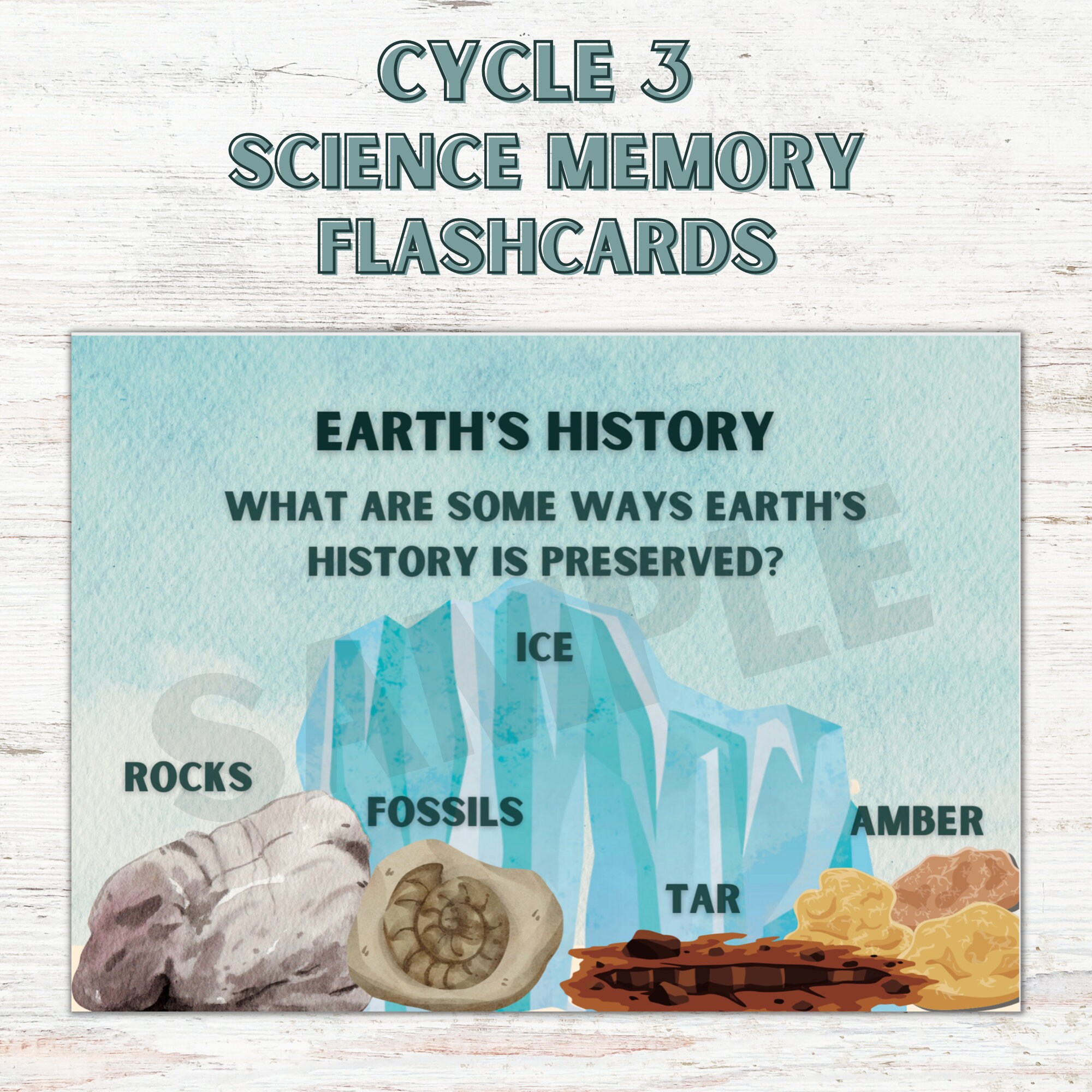 Cycle 3 Science Memory Cards - Etsy
