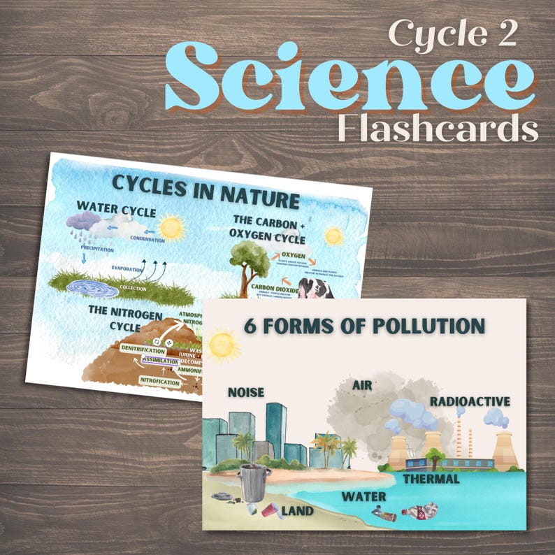 Cycle 2 Science Memory Cards - Etsy