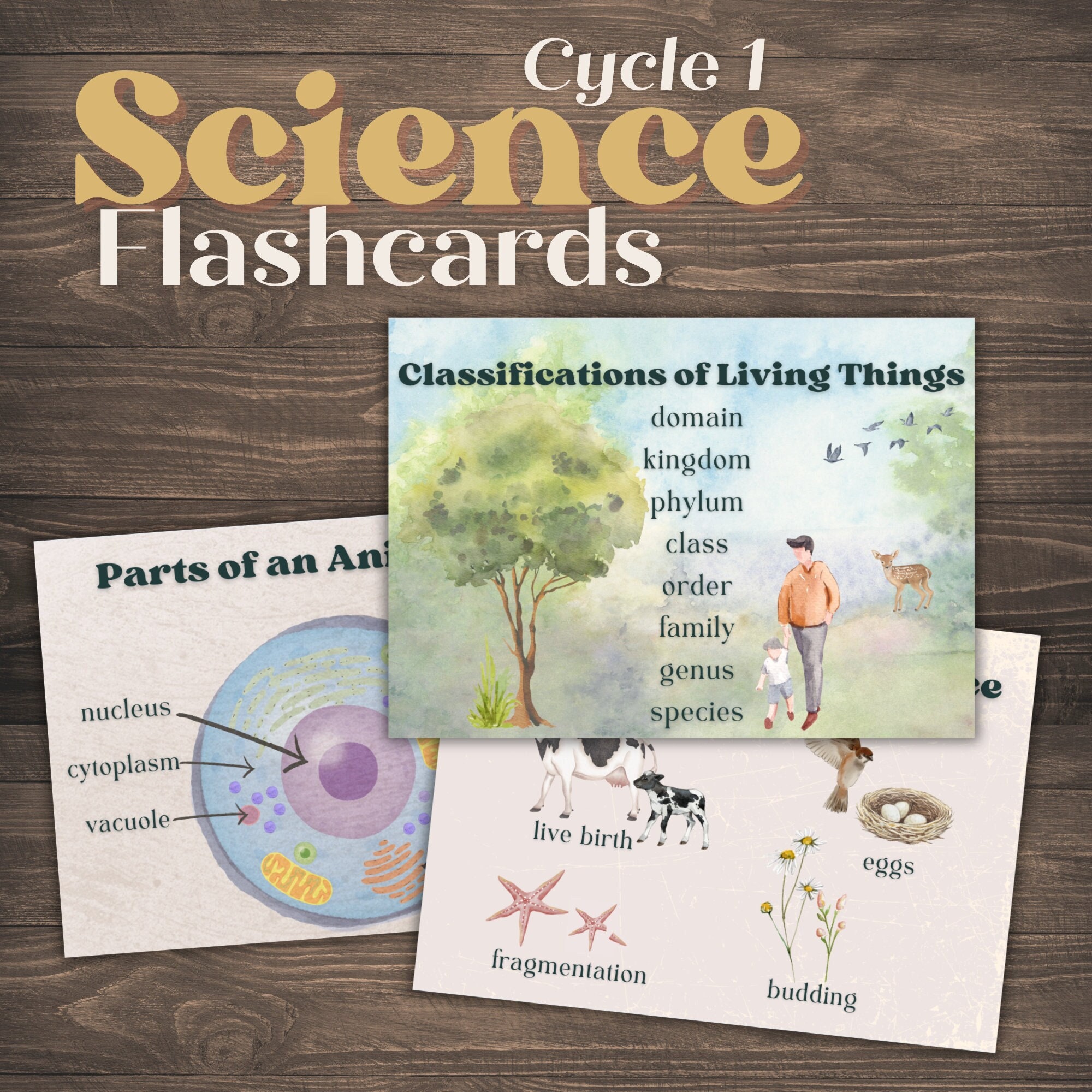 Cycle 1 Science Memory Cards - Etsy