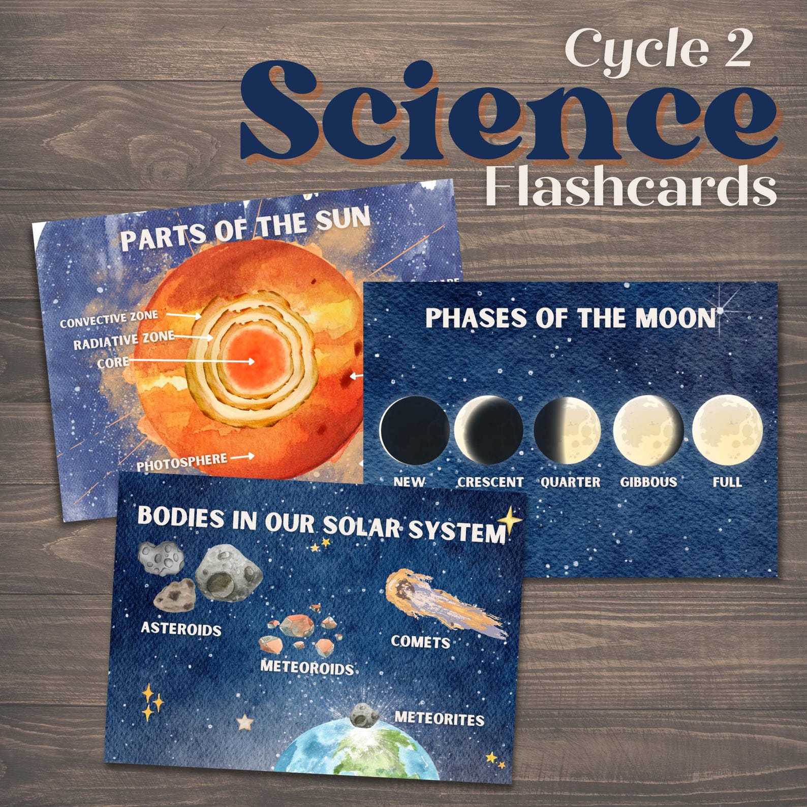 Cycle 2 Science Memory Cards - Etsy